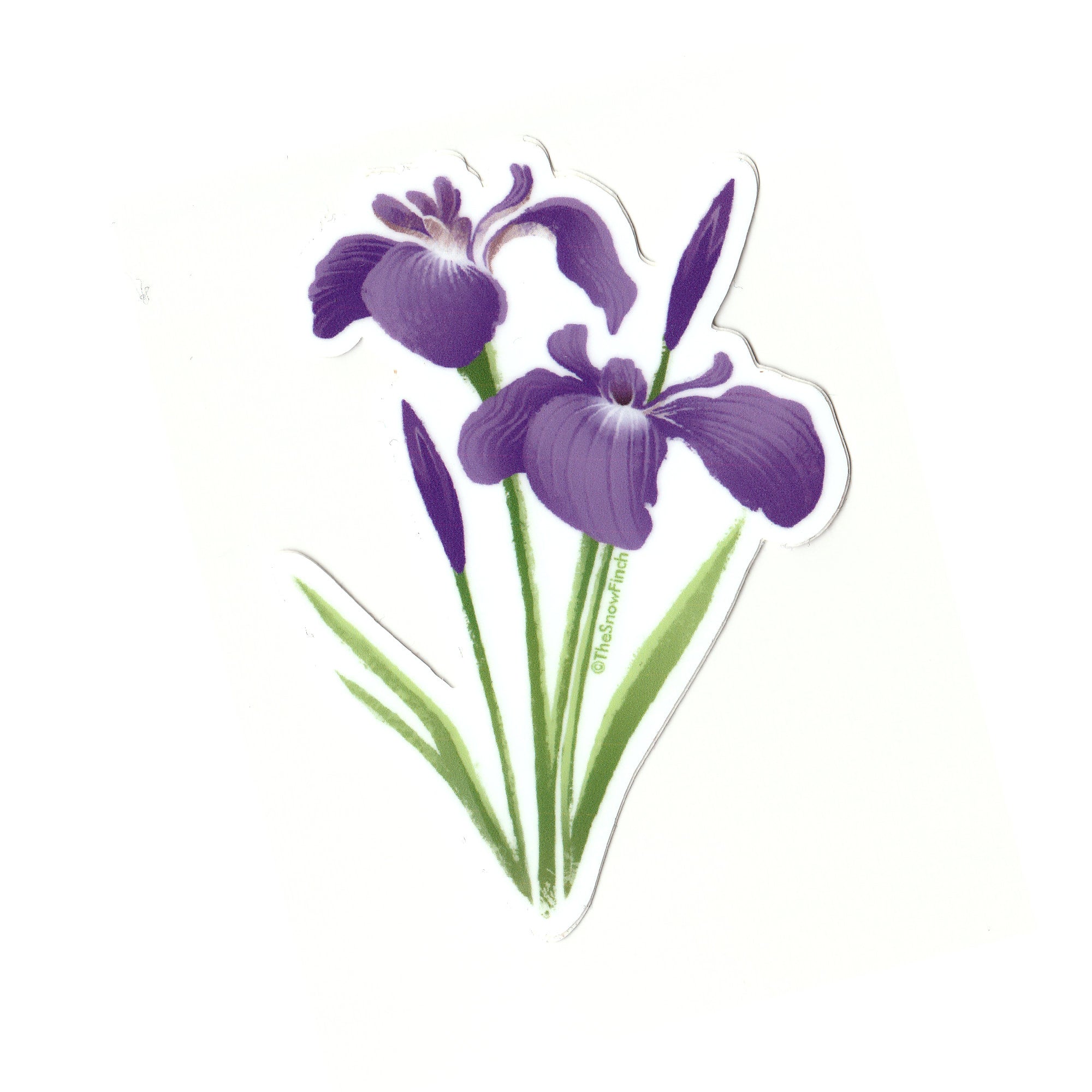 Wild Iris Floral Sticker | alaskandesigned