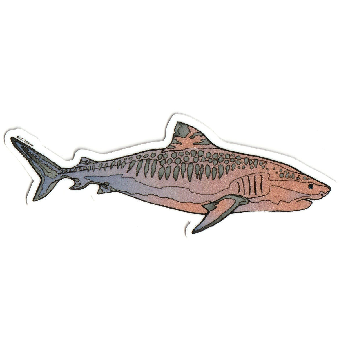 Tiger Shark Sticker | hey there :)