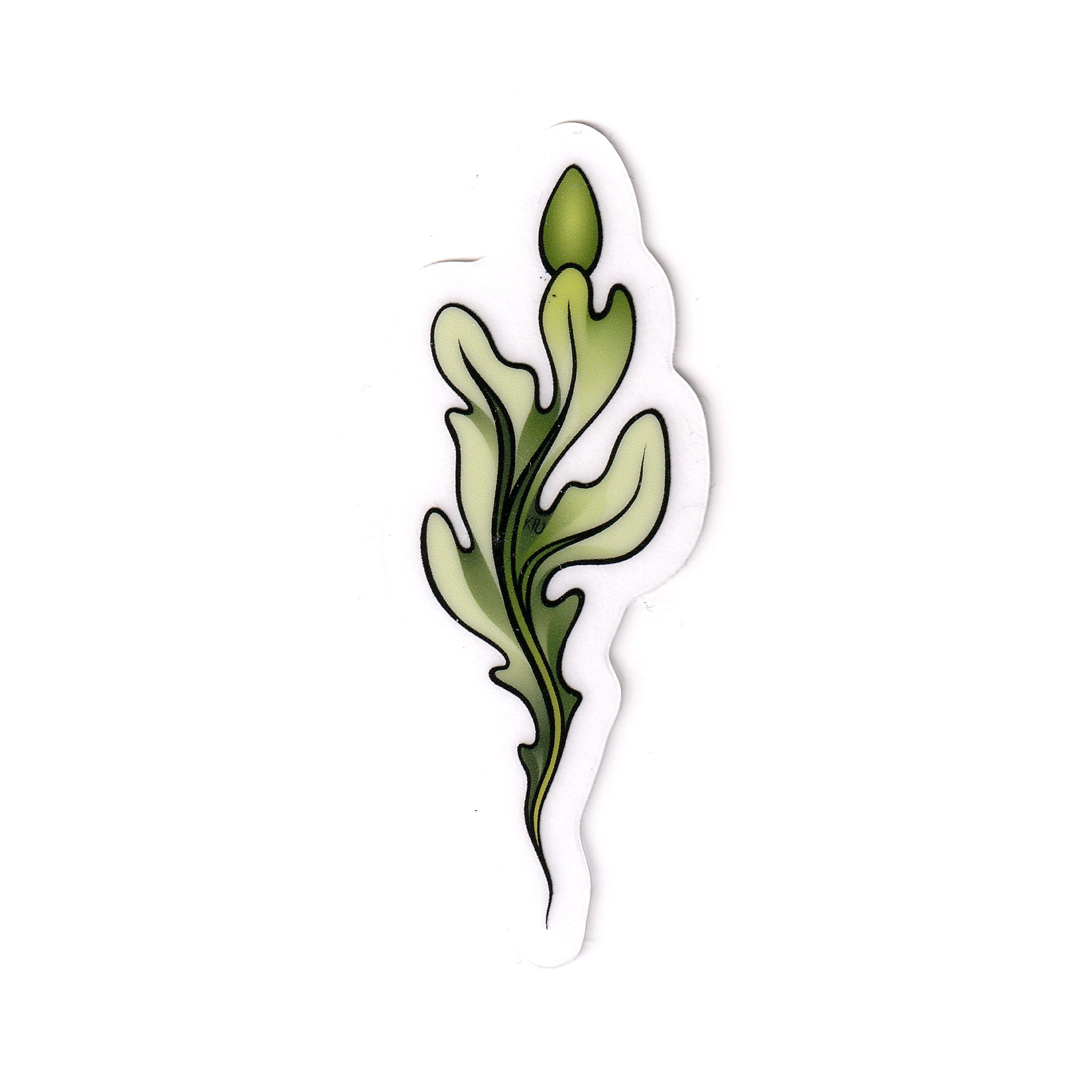 Seaweed Sticker with Clear Background #2 | alaskandesigned