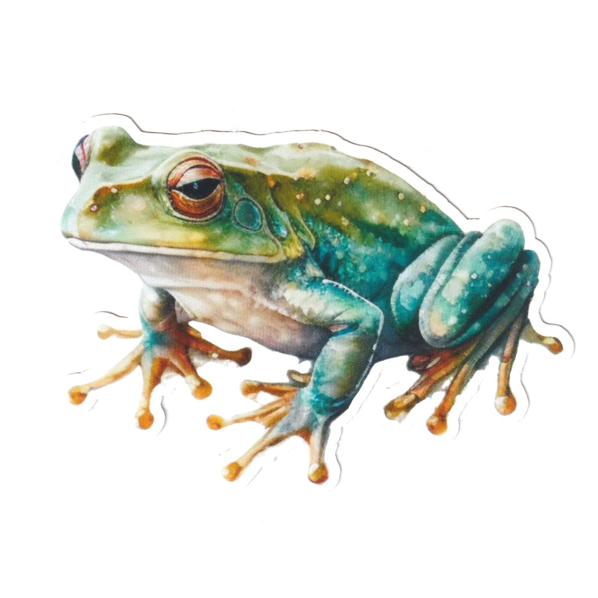 Tree Frog Sticker | Alaskan Designed
